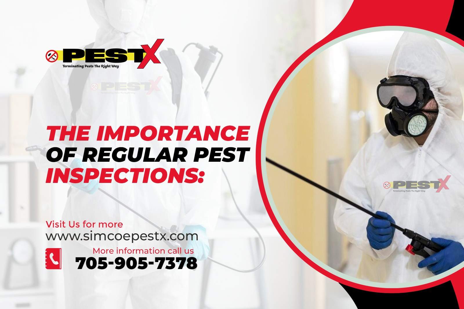 The Importance of Regular Pest Inspections - Simcoe Pest X