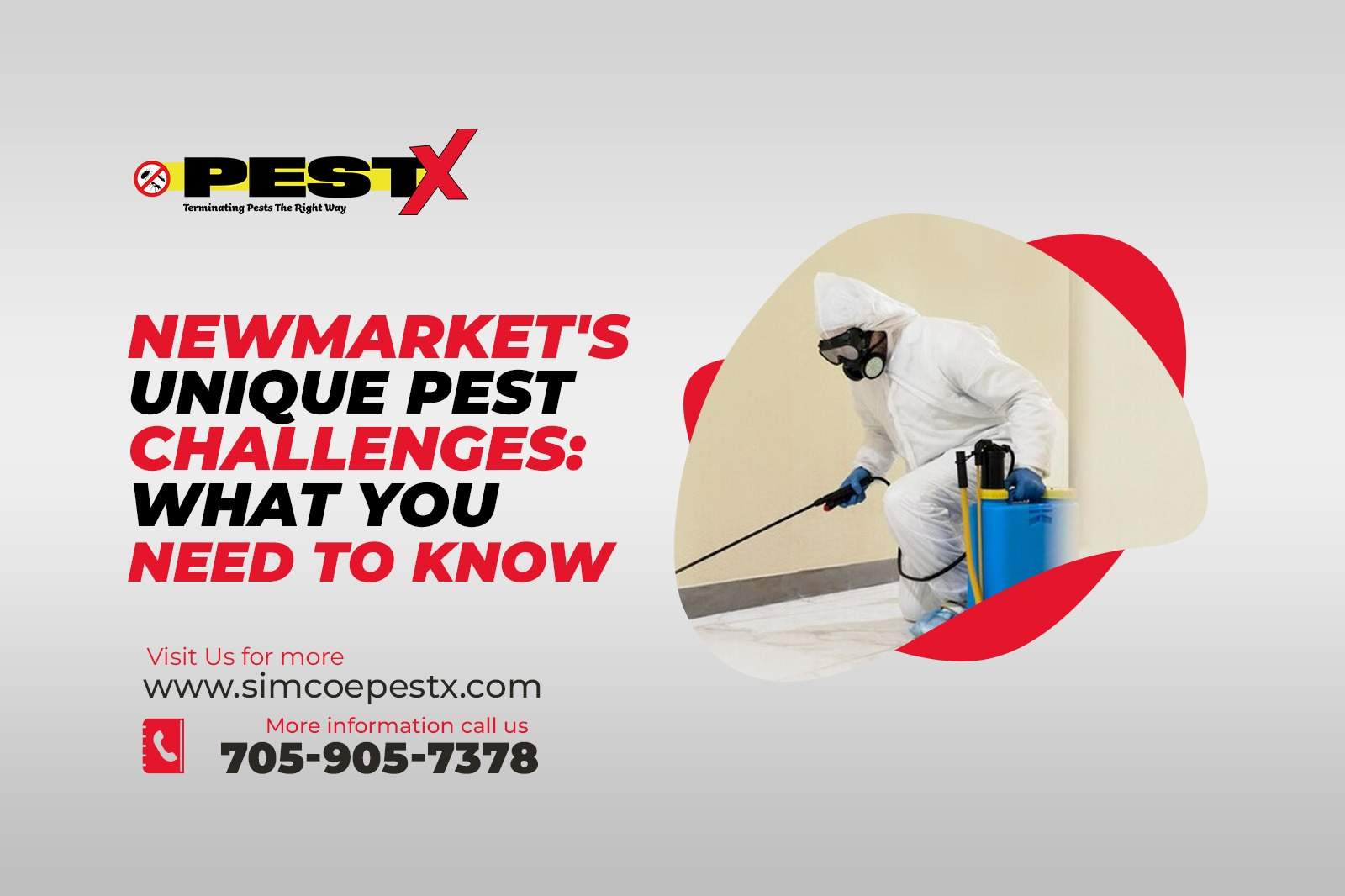 Newmarket's Unique Pest Challenges: What You Need to Know - Simcoe Pest X