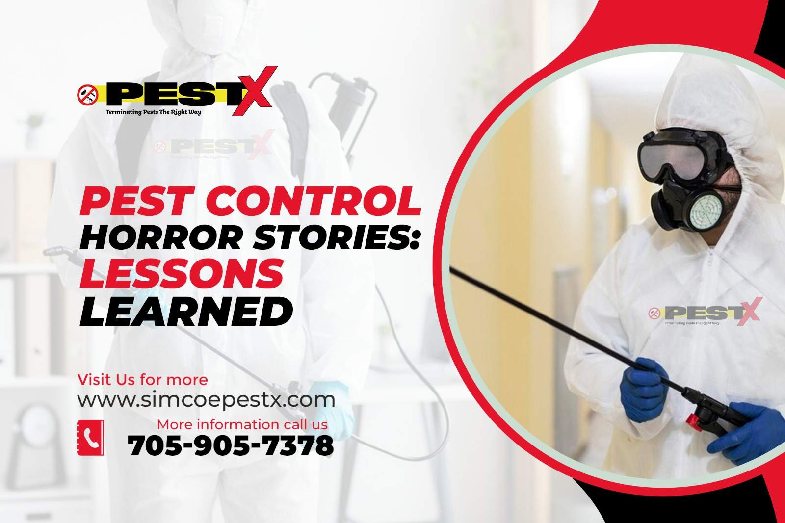 Pest Control Horror Stories: Lessons Learned - Simcoe Pest X