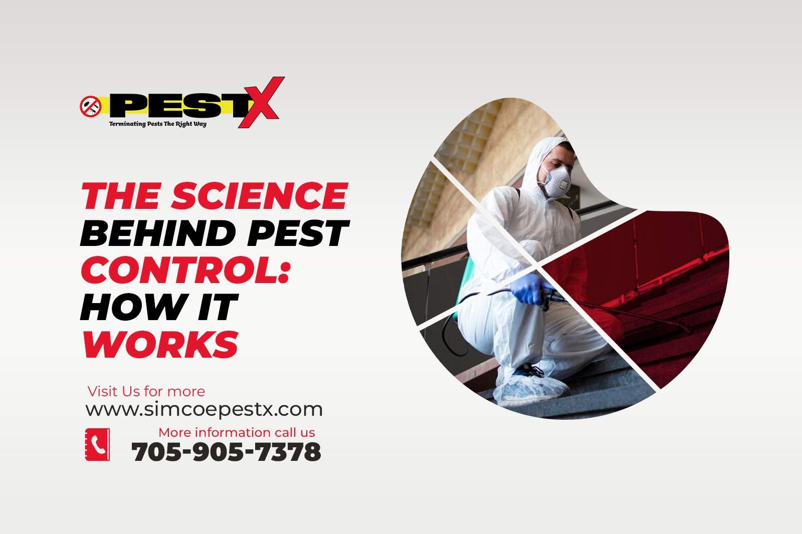 The Science Behind Pest Control: How It Works - Simcoe Pest X